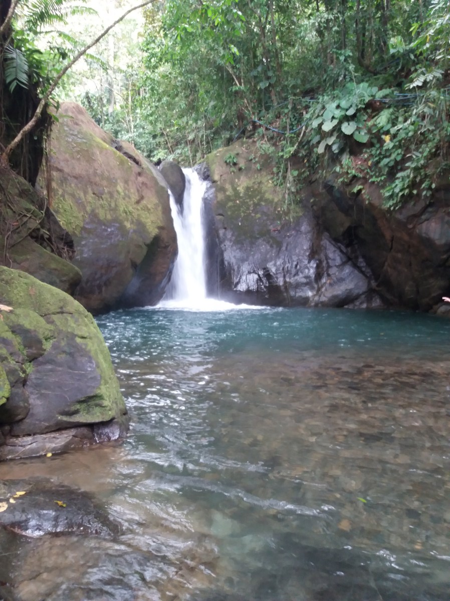 Rumbo Sur: Boca Coronado y Punta Mala de Osa – Daniel G. Campos
