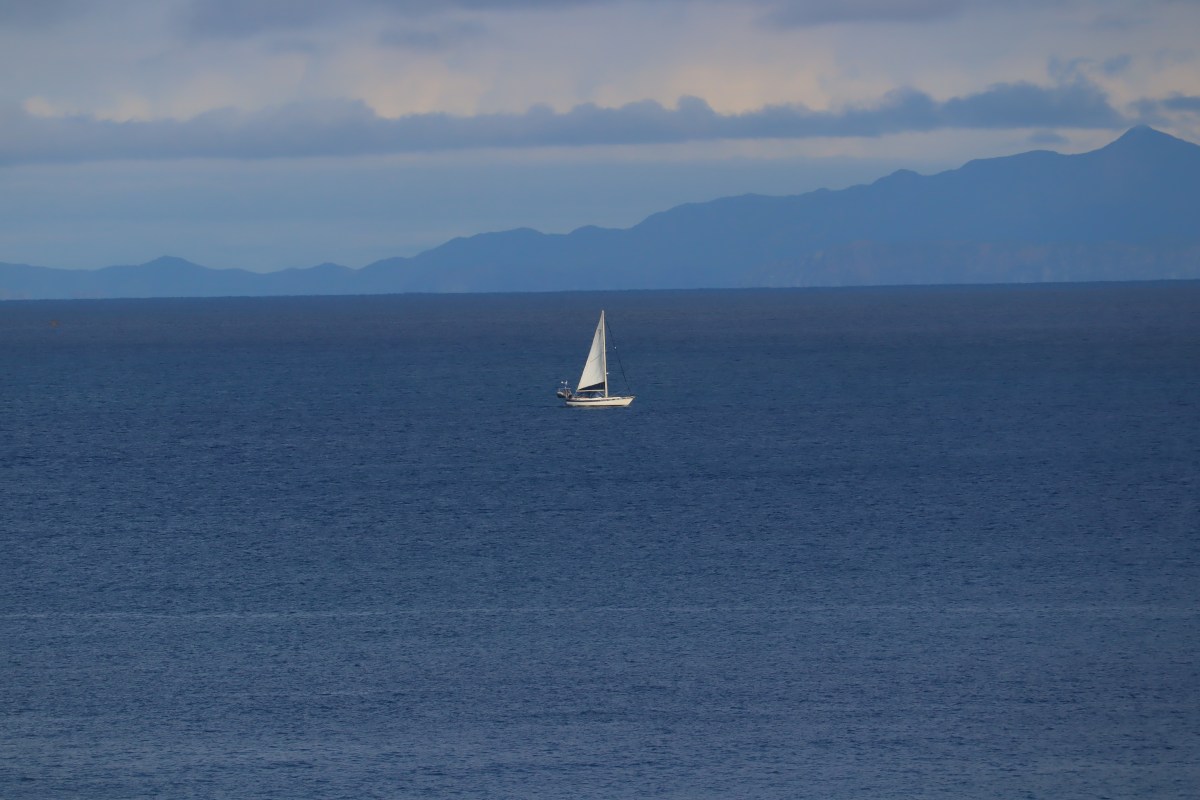 El arte de nadar en soledad – Daniel G. Campos